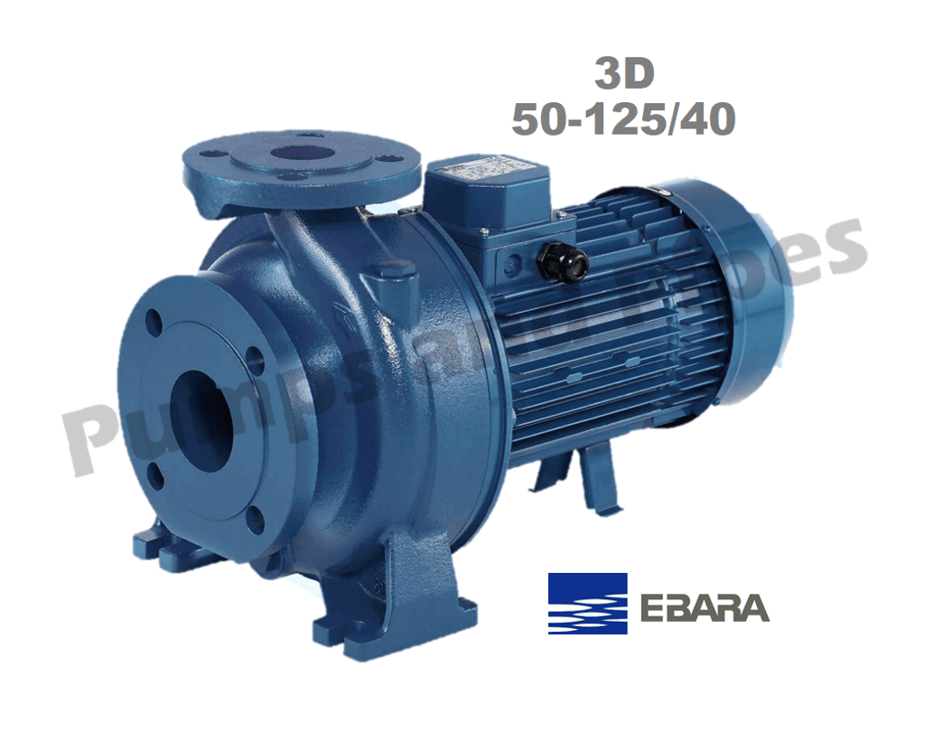 Ebara 3D 50-125/40 600lpm Centrifugal Motor Pump for Irrigation, Water Transfer, Tank Filling ...