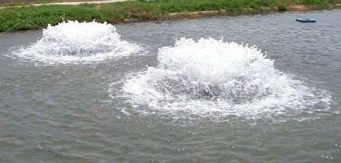 Floating Dam Aeration Pump – SPLASH 1/2001 Three Phase 3200lpm – Pumps ...