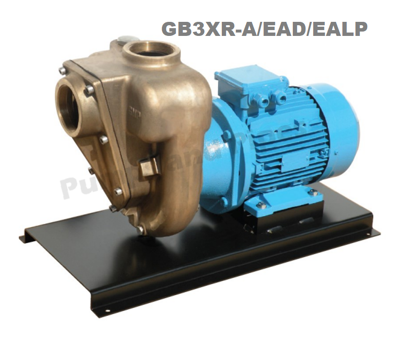 GB3XR-A/EAD/EALP Self Priming Seawater 500lpm @ 22m 4.0kW Cast 316 SS ...