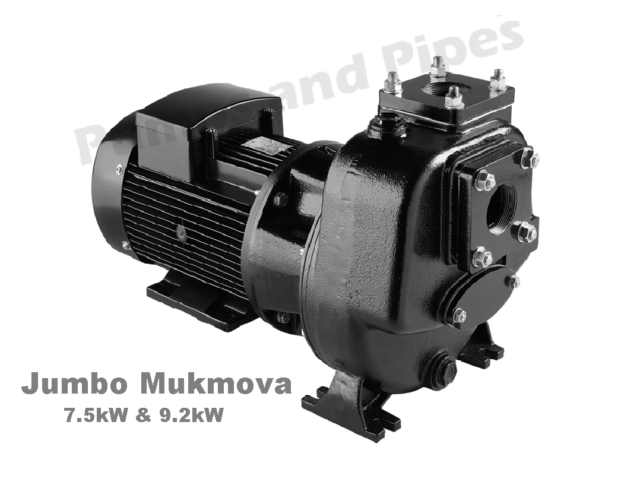 Davey VM16-5/3 5.5kW SS Vertical Multistage Pump New Code VM15-5H3 ...